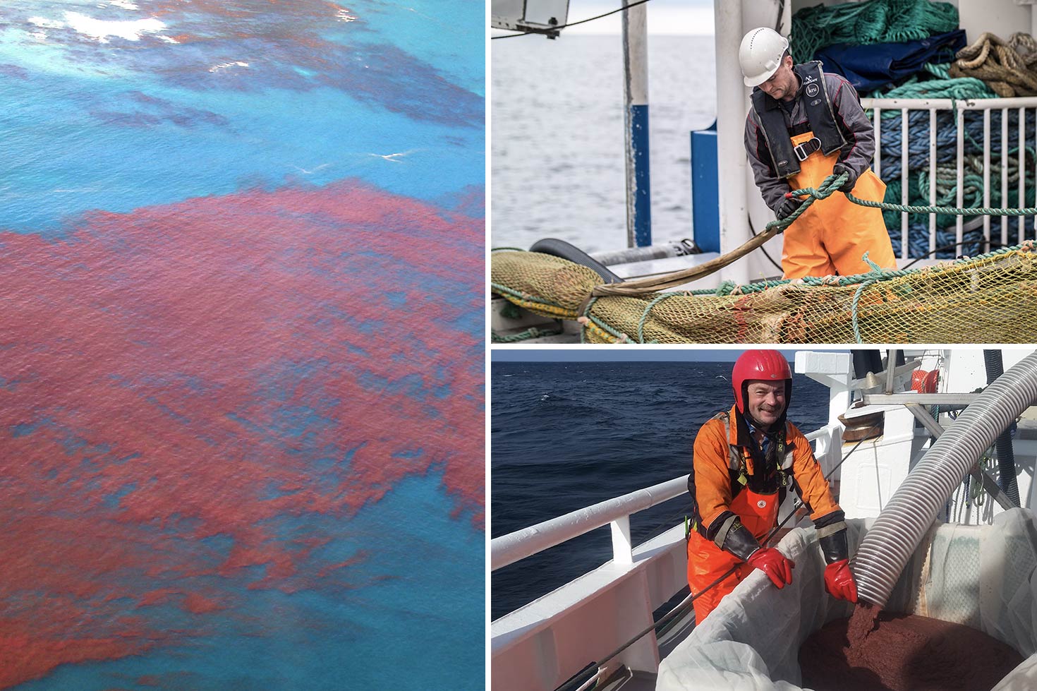 High blood pressure, inflammation, lack of energy, excess belly fat ...